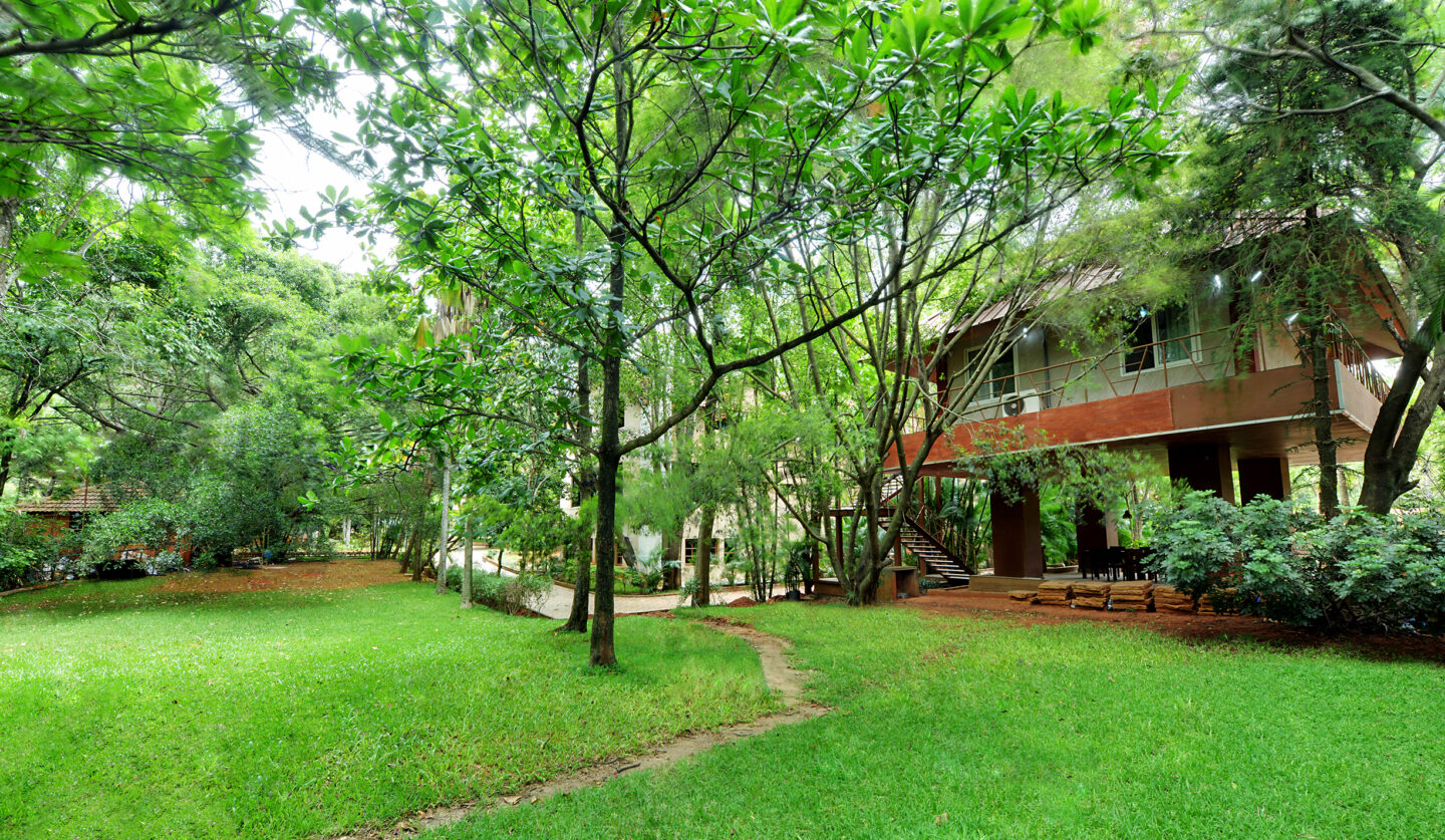 Stay - Gold Coins Club and Resort